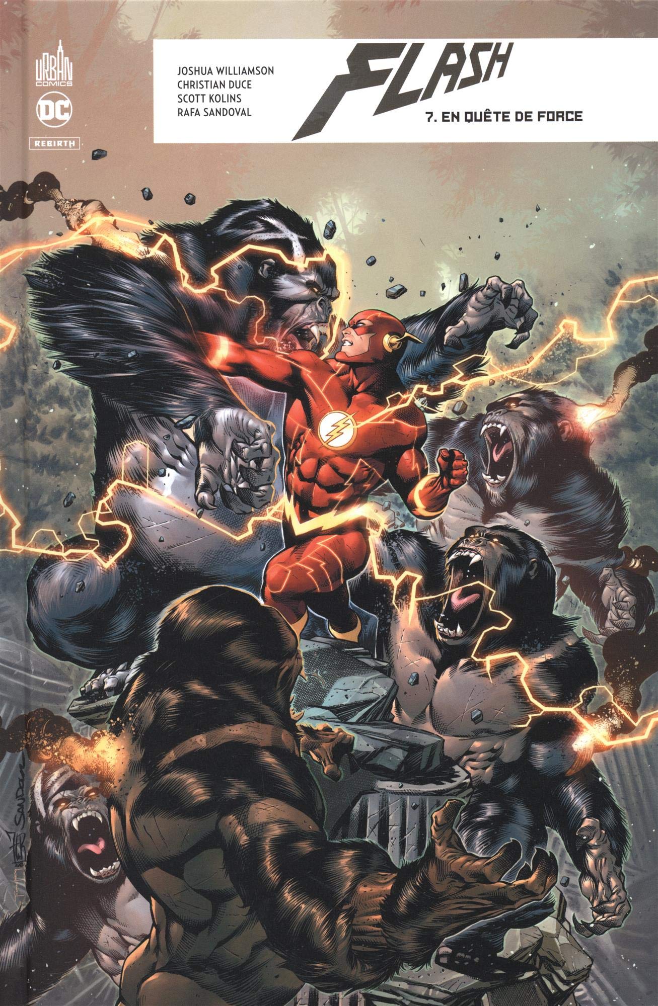 Flash Rebirth Tome 7 - Critique - LesComics.fr